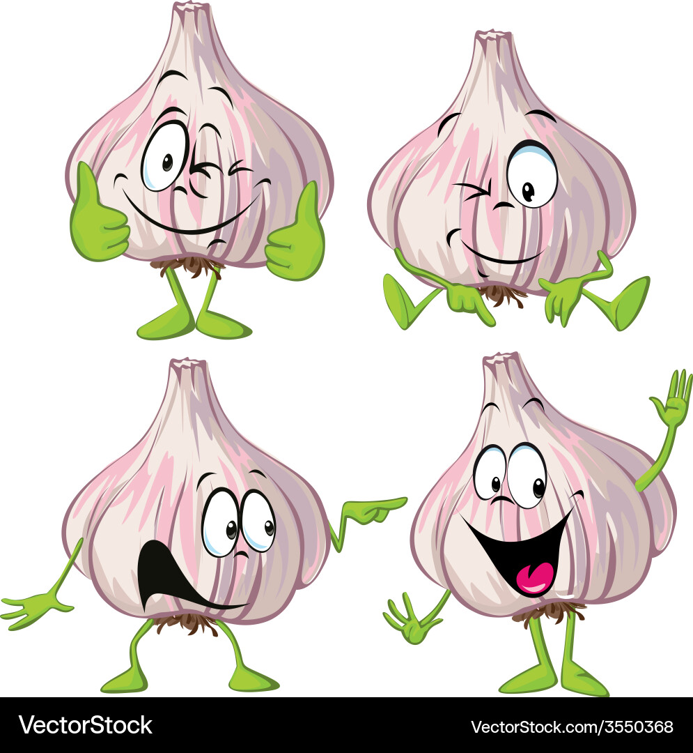 Garlic cartoon with hands and legs standing Vector Image