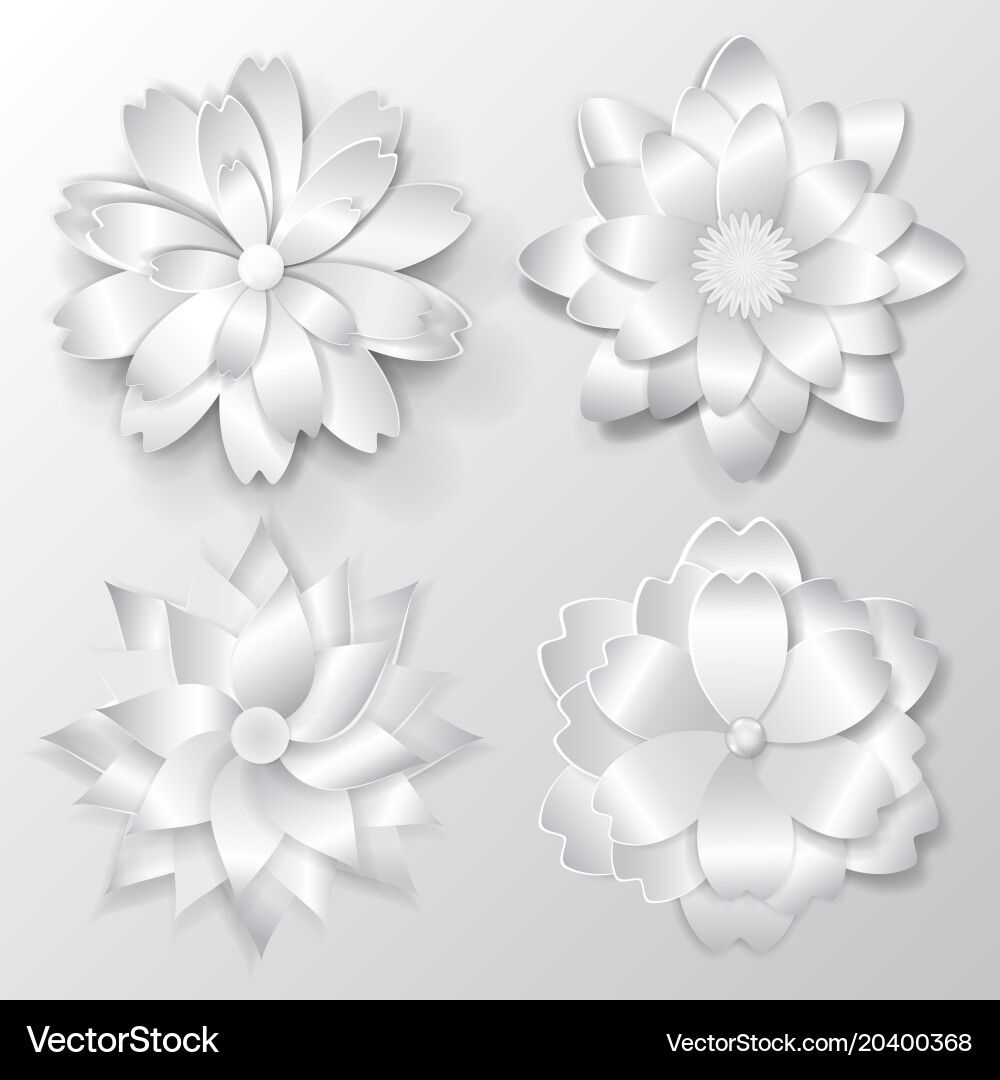 Set of paper flowers Royalty Free Vector Image