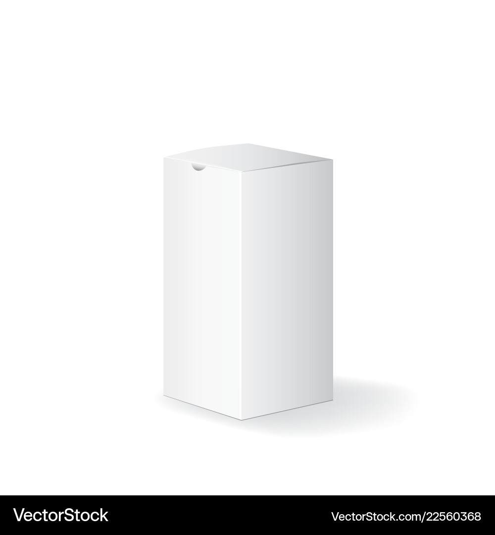 White package box packaging mock up template Vector Image