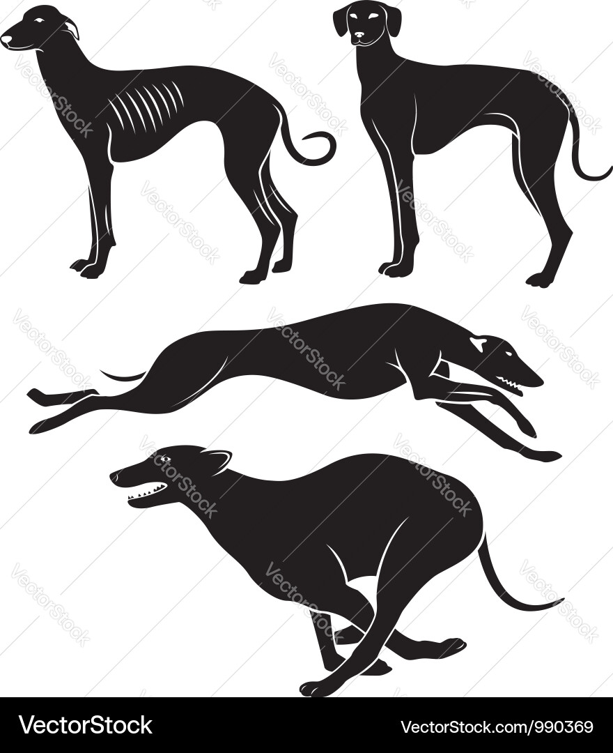 Hounds Royalty Free Vector Image - VectorStock