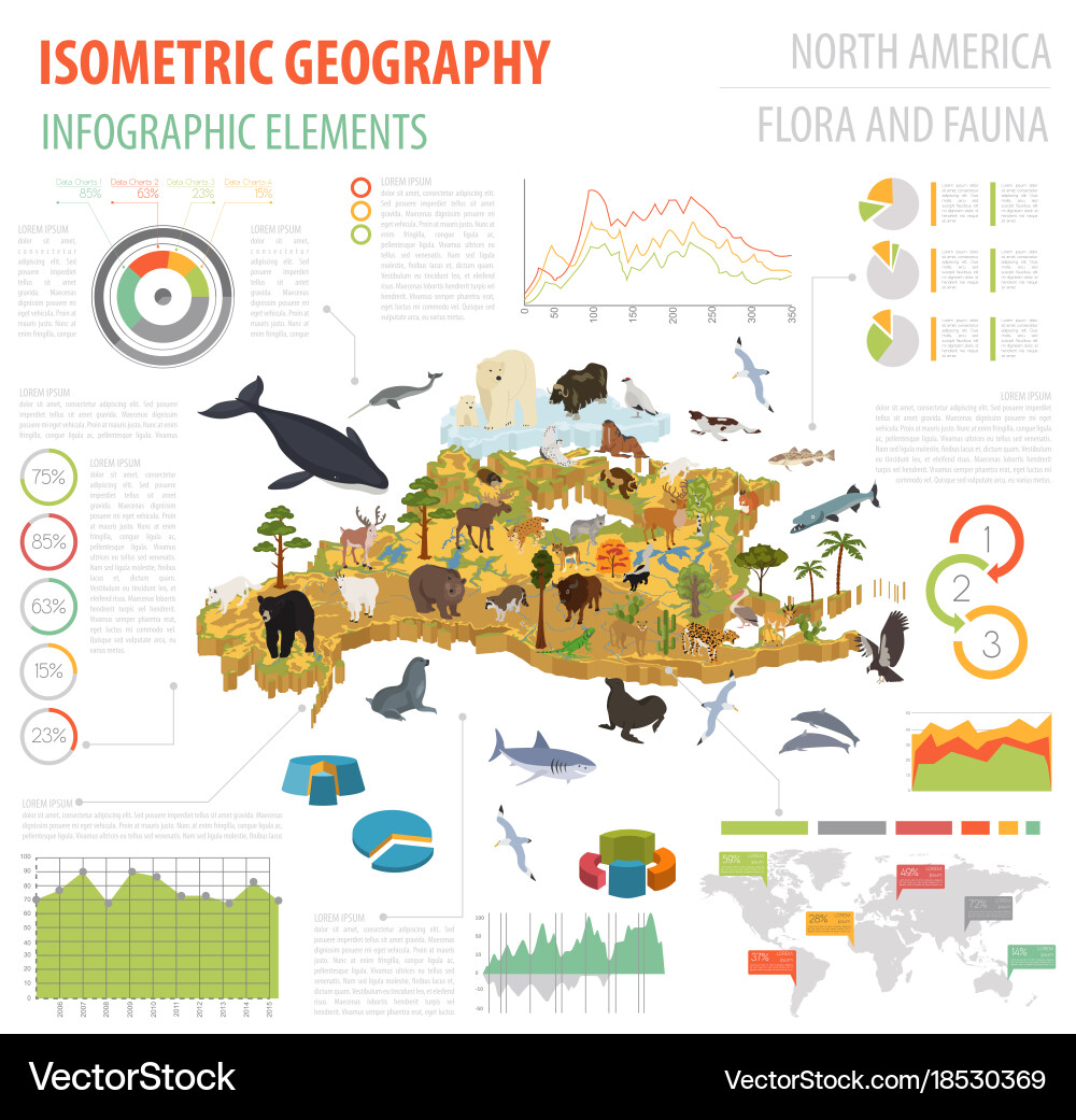 Isometric 3d north america flora and fauna map Vector Image