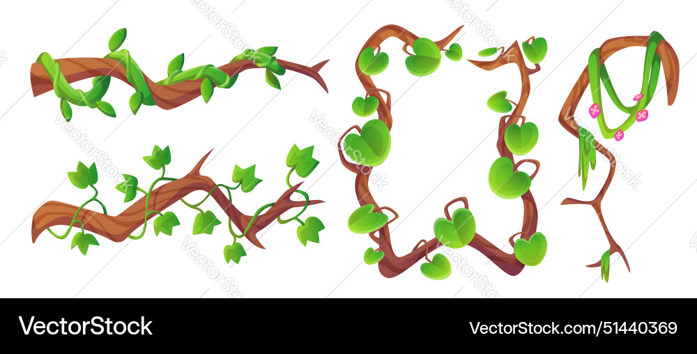 Long liana vine and rectangular frame Royalty Free Vector