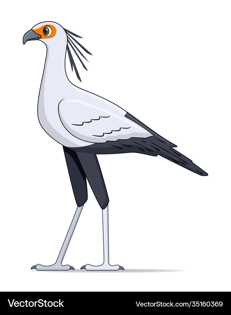 Secretary bird on a white background Royalty Free Vector