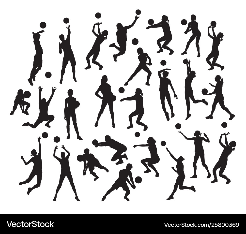 Volleyball sport Royalty Free Vector Image - VectorStock