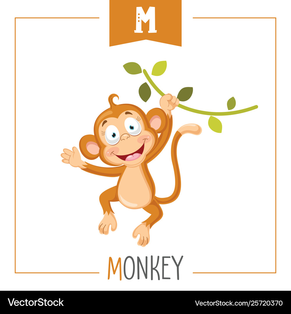 Alphabet letter m and monkey Royalty Free Vector Image
