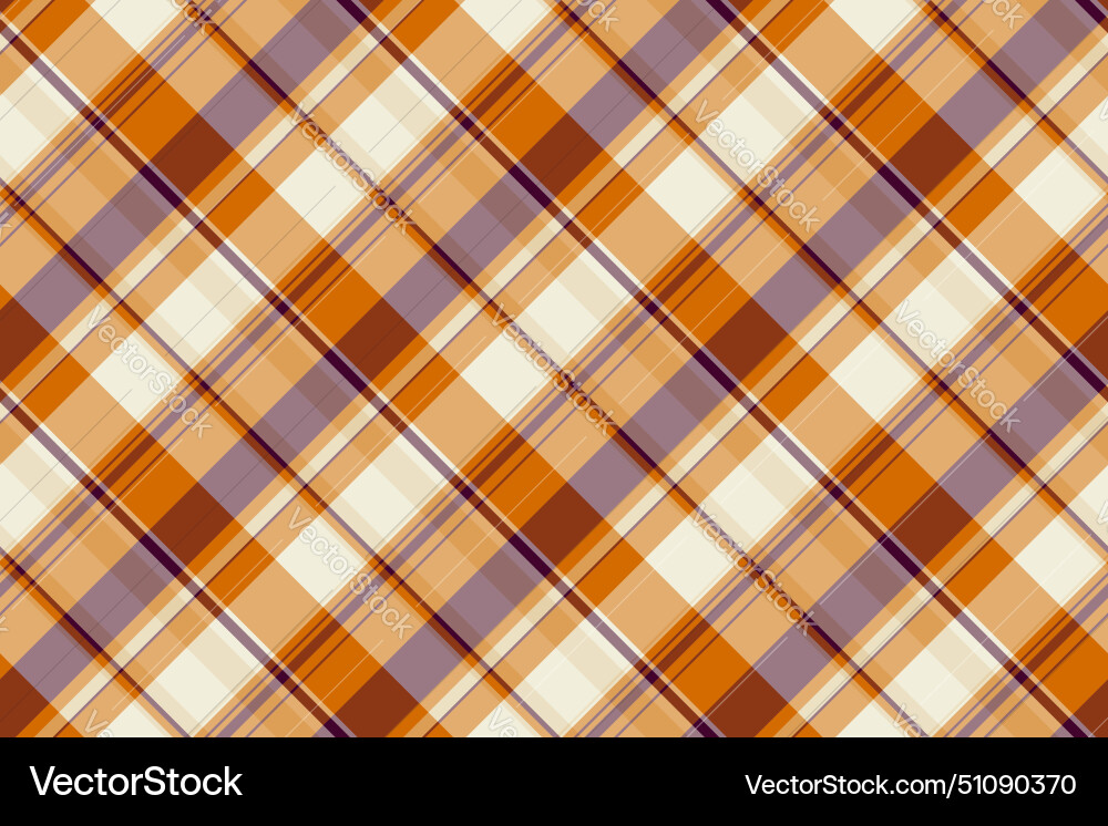 Tee pattern plaid new textile background tartan Vector Image