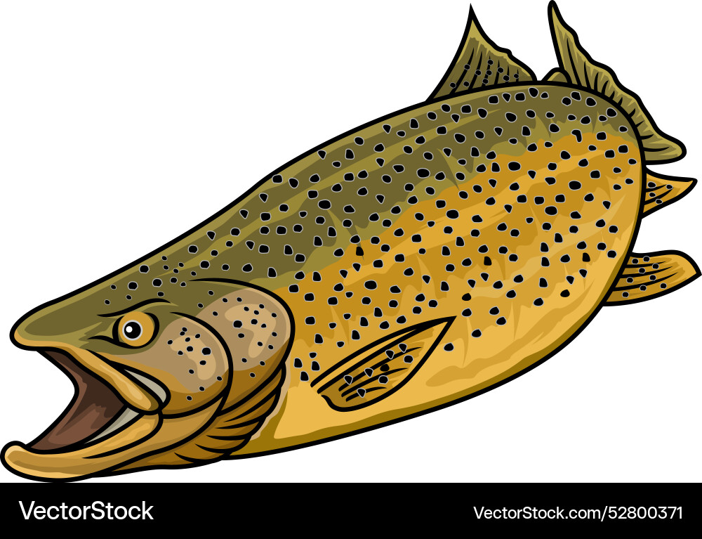Brown trout fishing logo image Royalty Free Vector Image