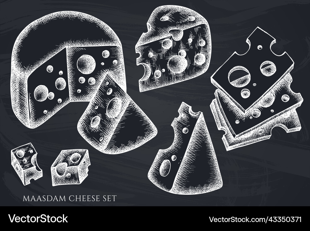 Cheese hand drawn collection Royalty Free Vector Image