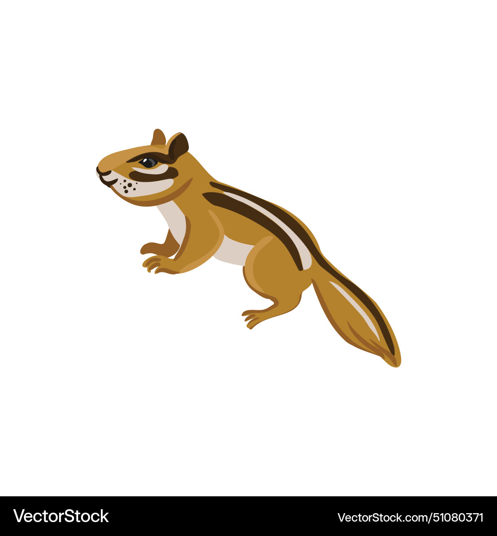 Drawing chipmunk animal Royalty Free Vector Image