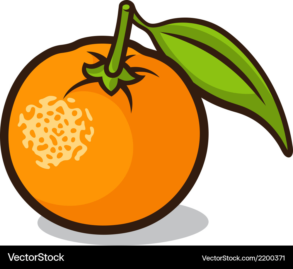 Orange Royalty Free Vector Image - VectorStock