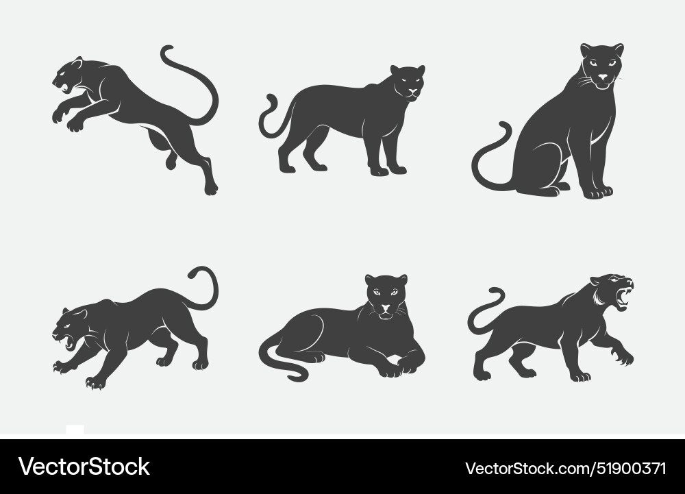 Panther Outline Vector Images (über 4,900)