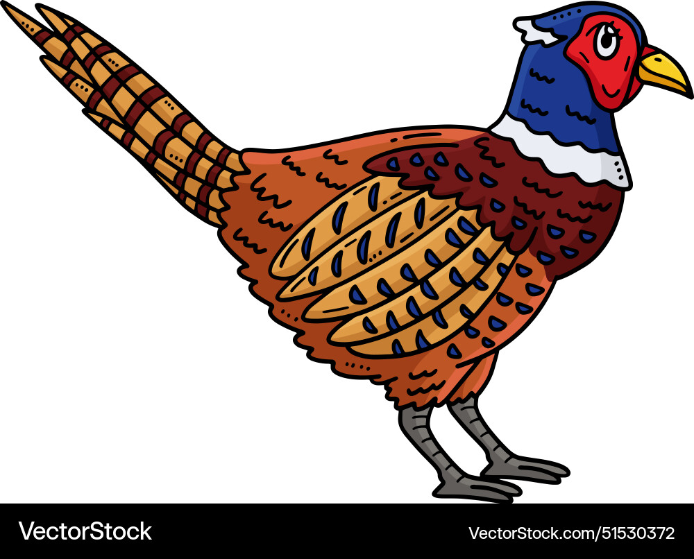 Common pheasant bird cartoon colored clipart Vector Image