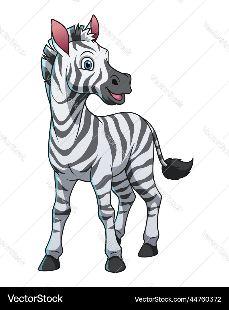 Little zebra cartoon animal Royalty Free Vector Image