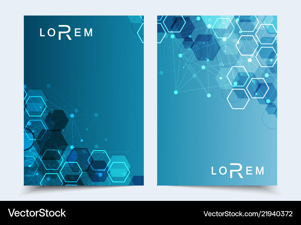 Minimal brochure templates magazine leaflet Vector Image