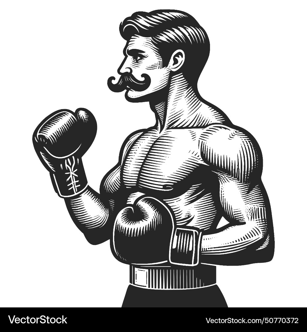 Vintage boxer with gloves sketch Royalty Free Vector Image