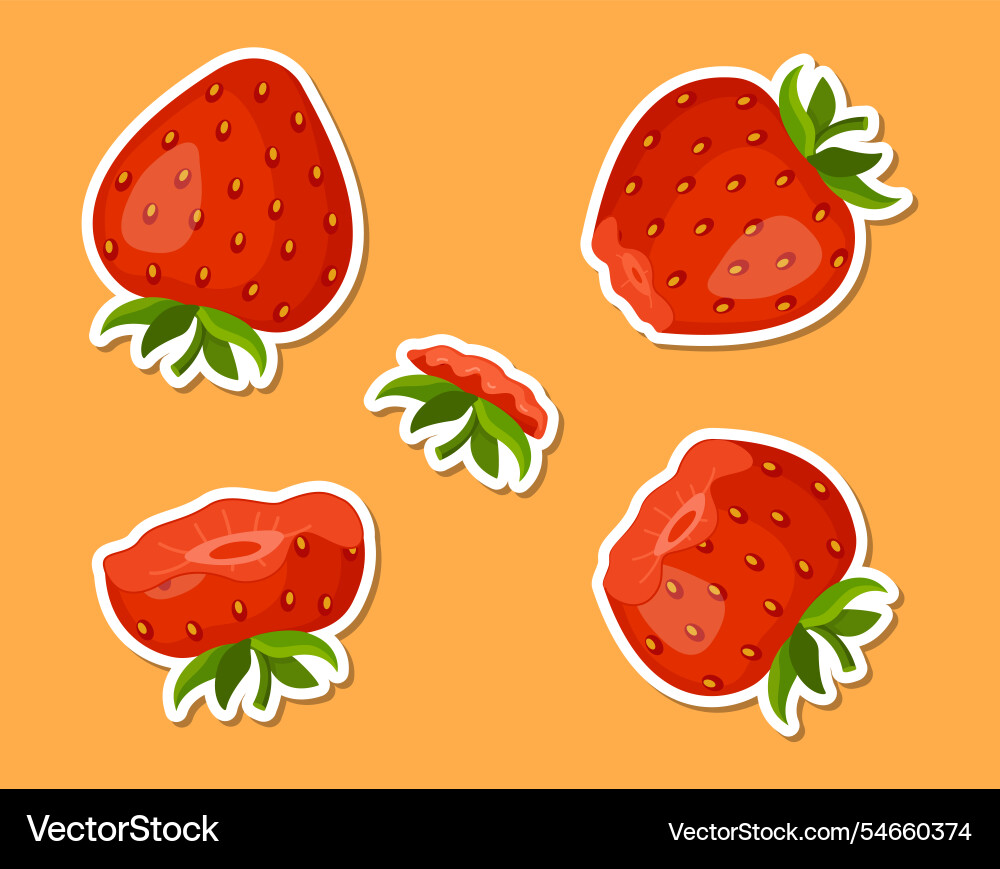 Strawberry eating steps sticker set whole bitten Vector Image