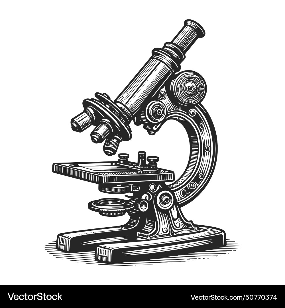 Vintage microscope sketch Royalty Free Vector Image