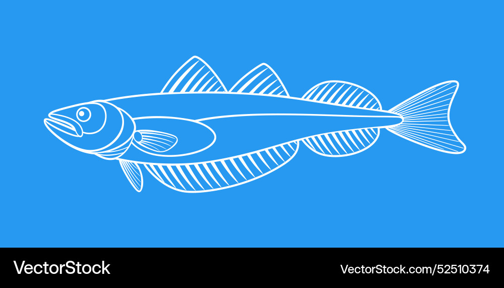 Whiting Royalty Free Vector Image - VectorStock