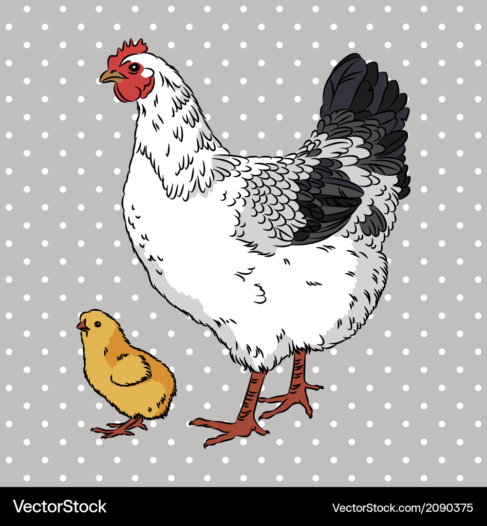 Realistic broody chicken and baby chick side view Vector Image