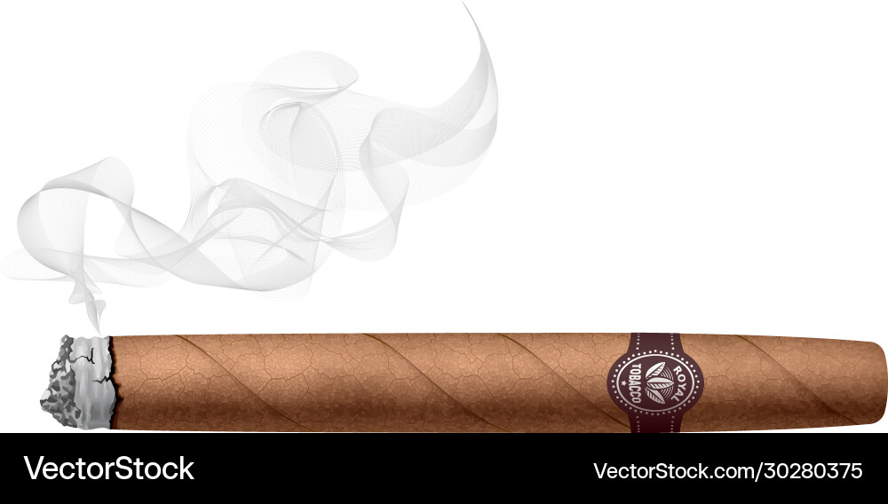 Realistic Smoking Cigar Royalty Free Vector Image