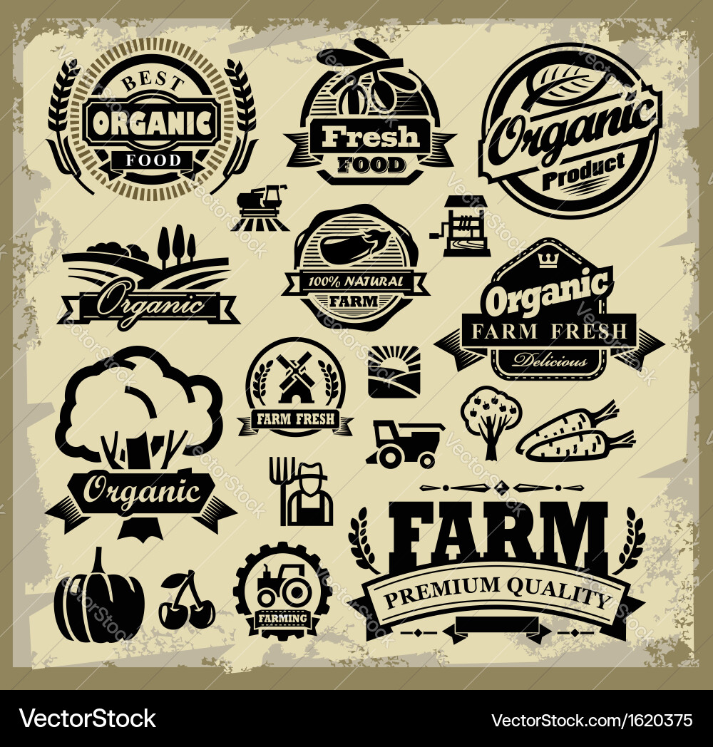 Rustic Organic Harvest Labels Royalty Free Vector Image