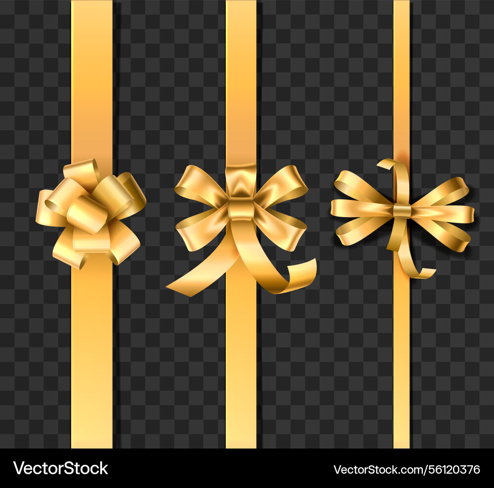 Gold Ribbon Lace Fabric Vector Images (51)