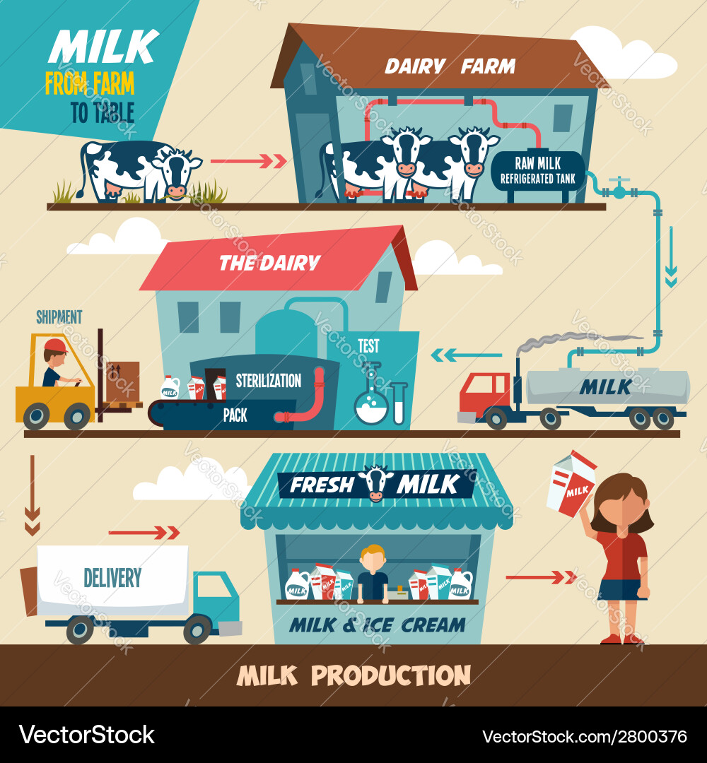Milk Production Process Royalty Free Vector Image