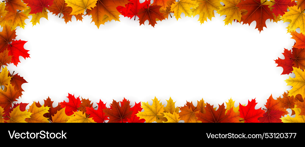 Autumn maple leaf horizontal border Royalty Free Vector