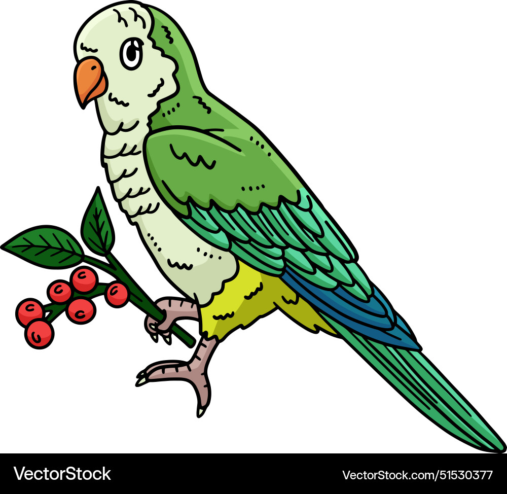Monk parakeet bird cartoon colored clipart Vector Image