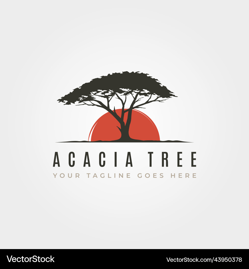 Acacia tree silhouette logo with sunset symbol Vector Image