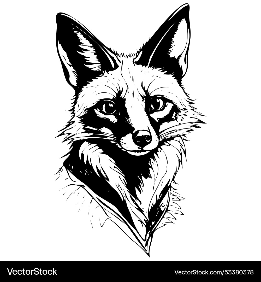 Black bat-eared fox portrait drawing vintage Vector Image