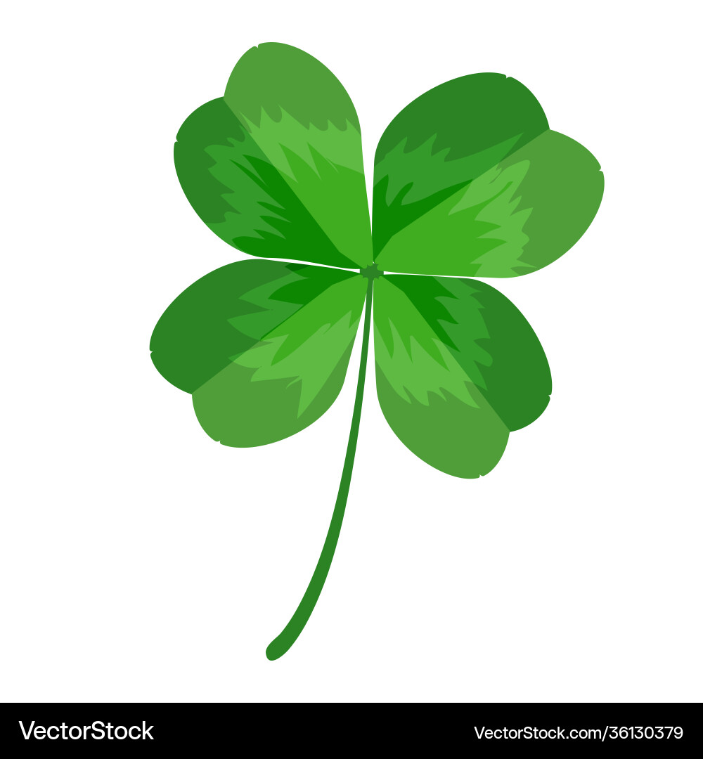 Clover isolated on white background Royalty Free Vector