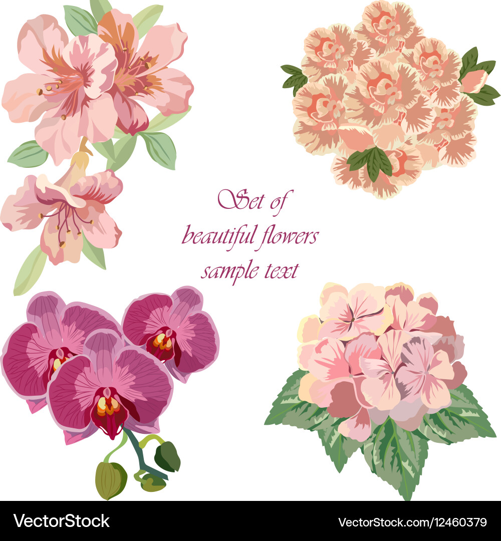 Spring summer flower set Royalty Free Vector Image