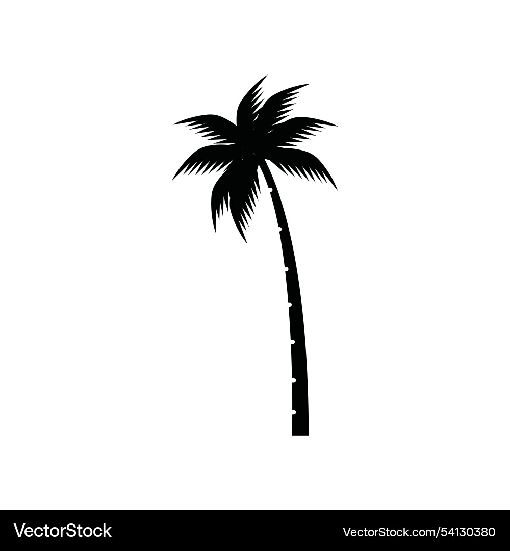 Coconut tree icon Royalty Free Vector Image - VectorStock