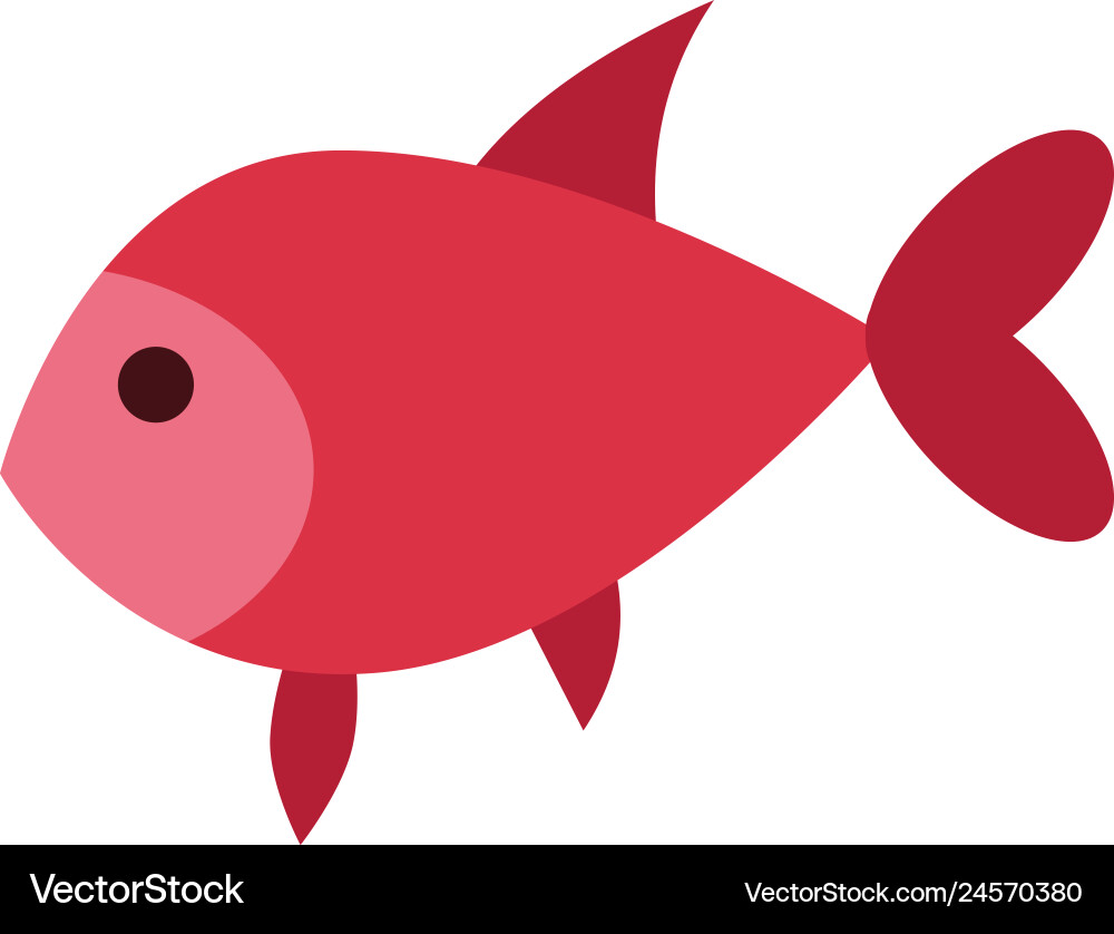 Fish flat on white Royalty Free Vector Image - VectorStock