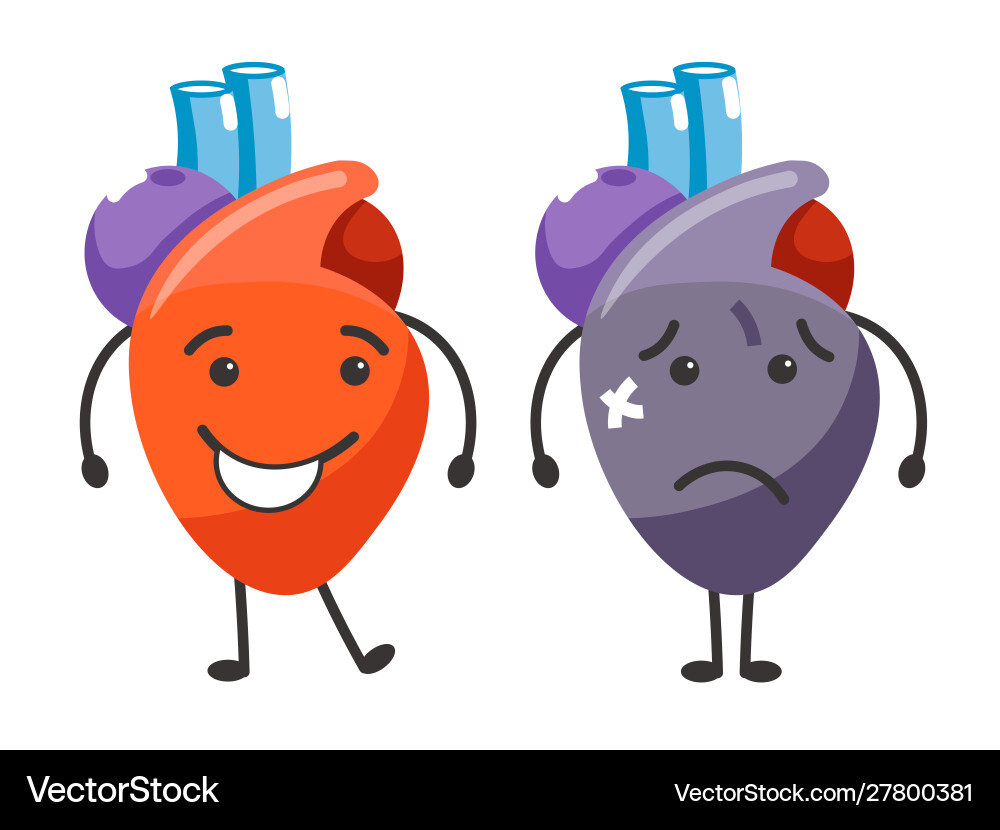 Healthy vs sick heart human organs condition Vector Image