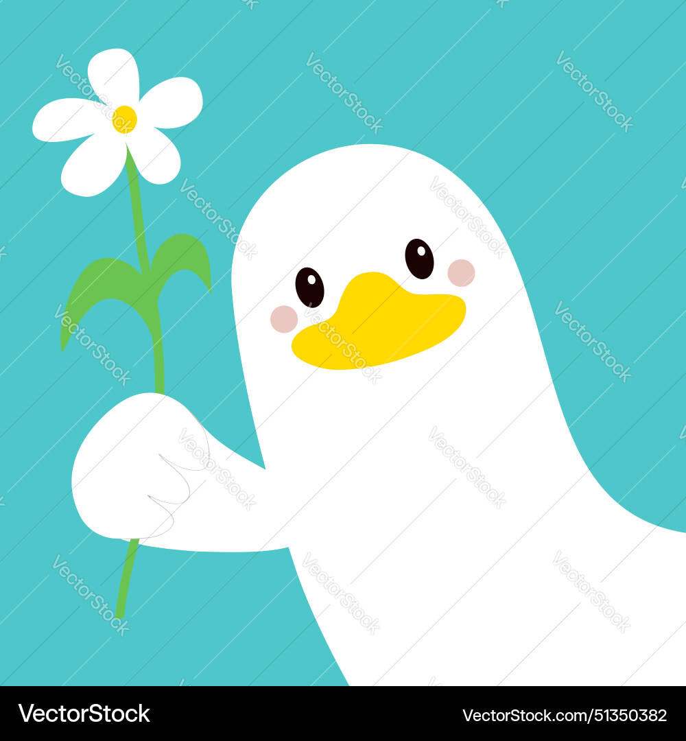 Goose duck face head in the corner white bird Vector Image