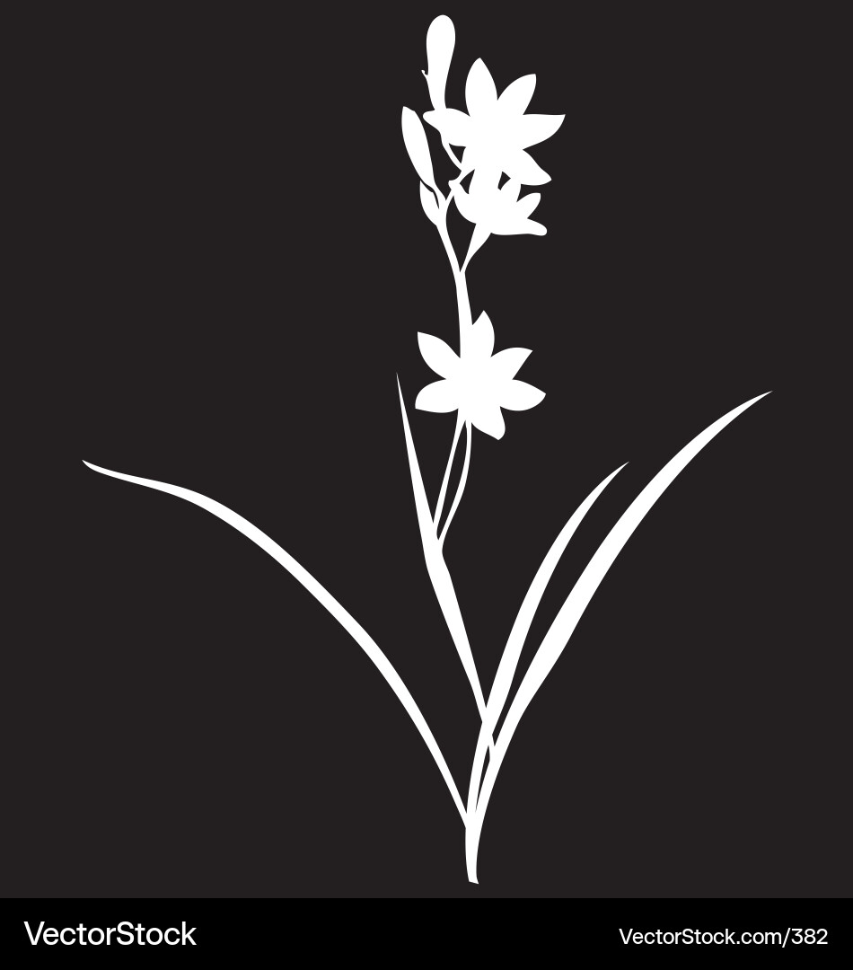 Simple orchid Royalty Free Vector Image - VectorStock