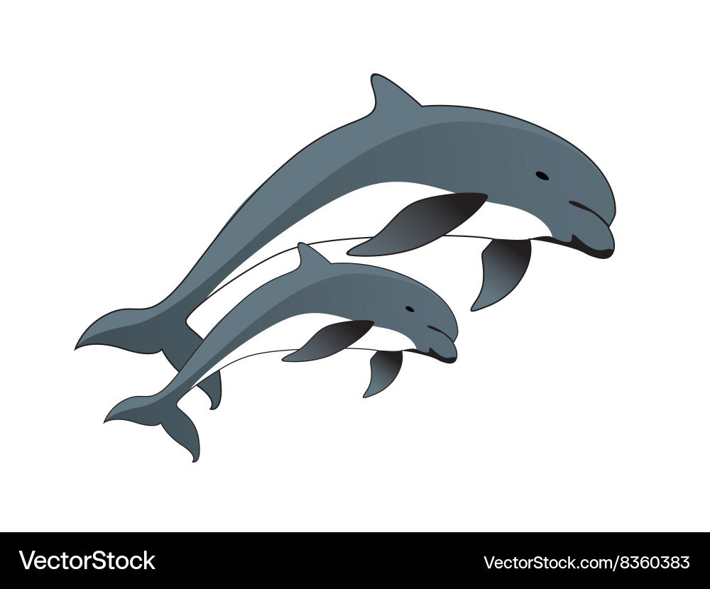 Drawing of dolphins Royalty Free Vector Image - VectorStock