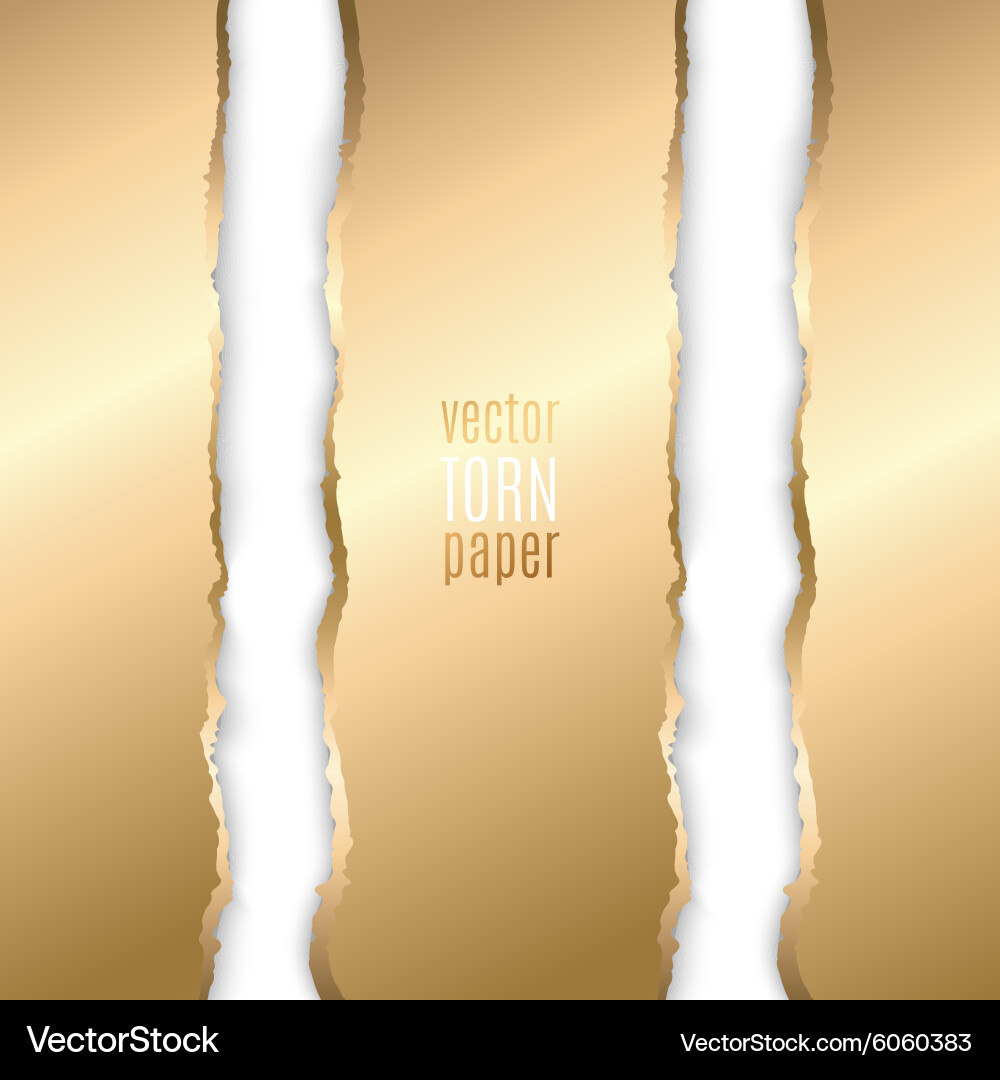 Gold and black torn paper Royalty Free Vector Image