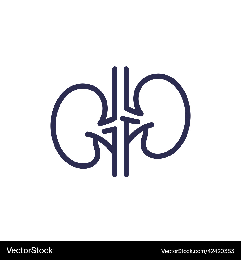 Kidneys nephrology line icon Royalty Free Vector Image