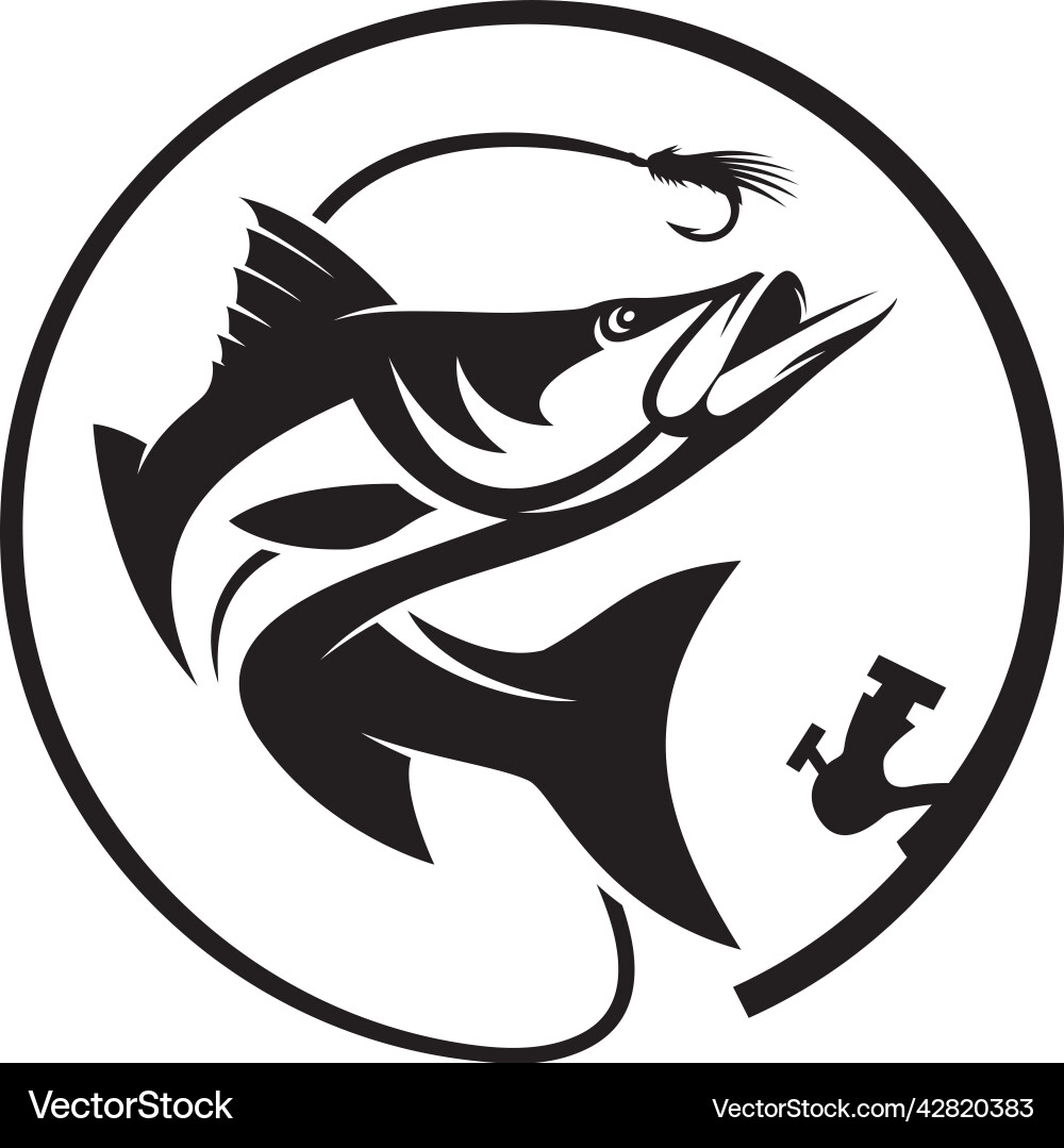 Snook fish fishing template image Royalty Free Vector Image