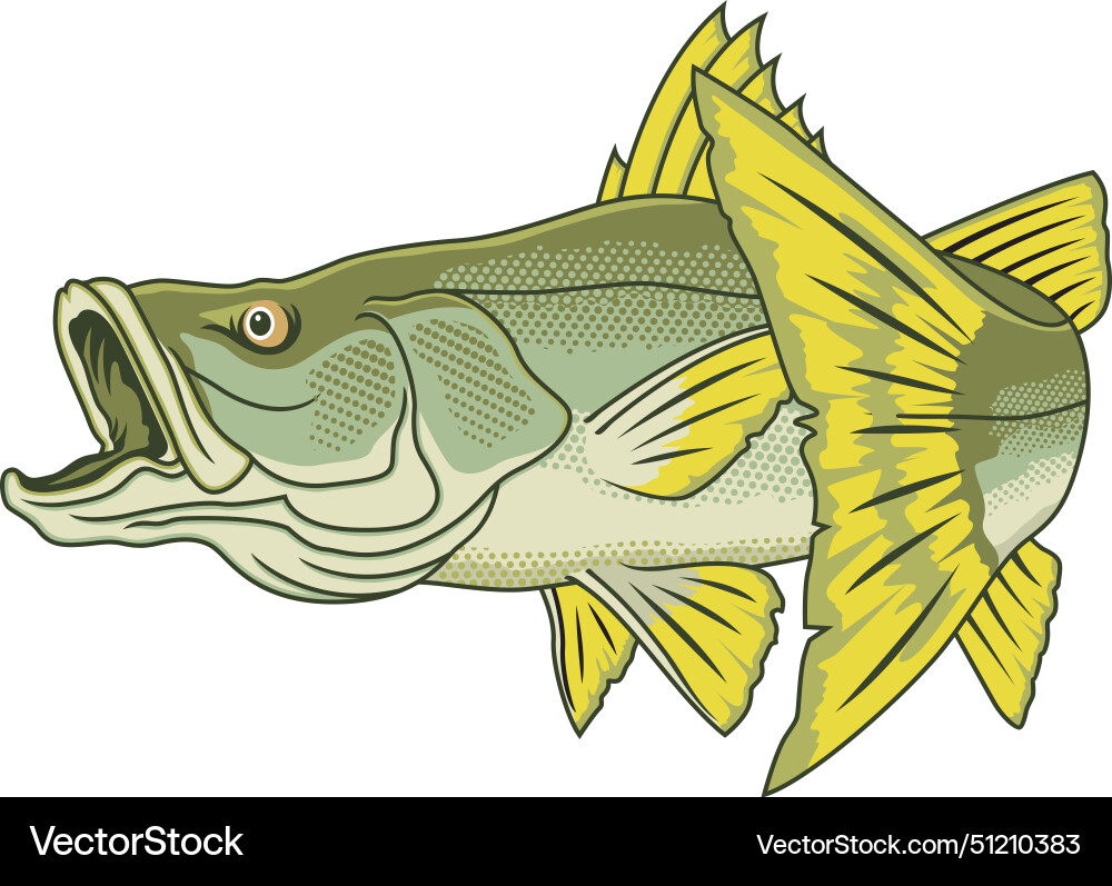 Snook fishing logo image t shi Royalty Free Vector Image