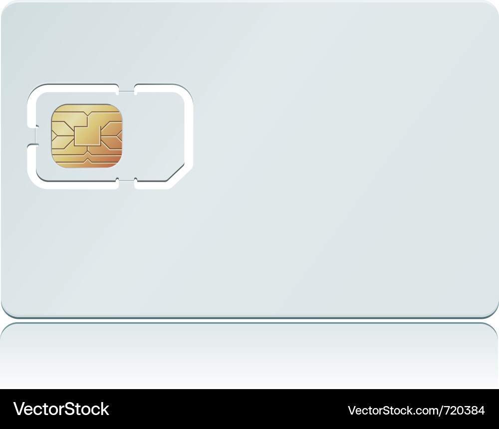 Blank sim card Royalty Free Vector Image - VectorStock