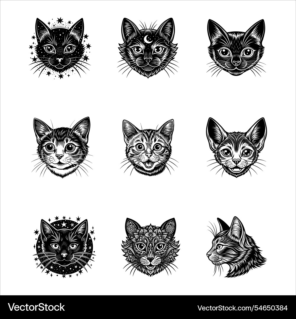 Cat head Royalty Free Vector Image - VectorStock