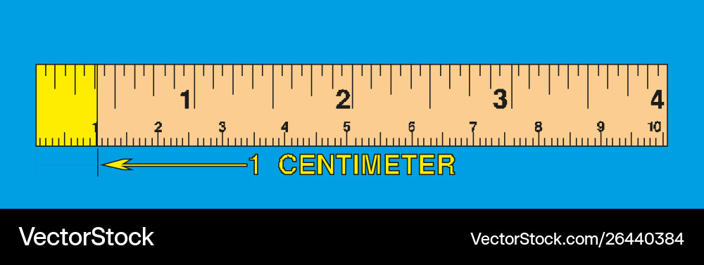 Ruler centimeter cm scale school yellow Royalty Free Vector
