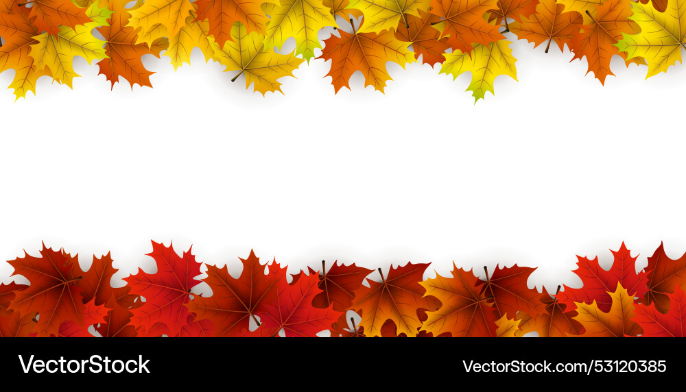 Autumn maple leaves border with white space Vector Image