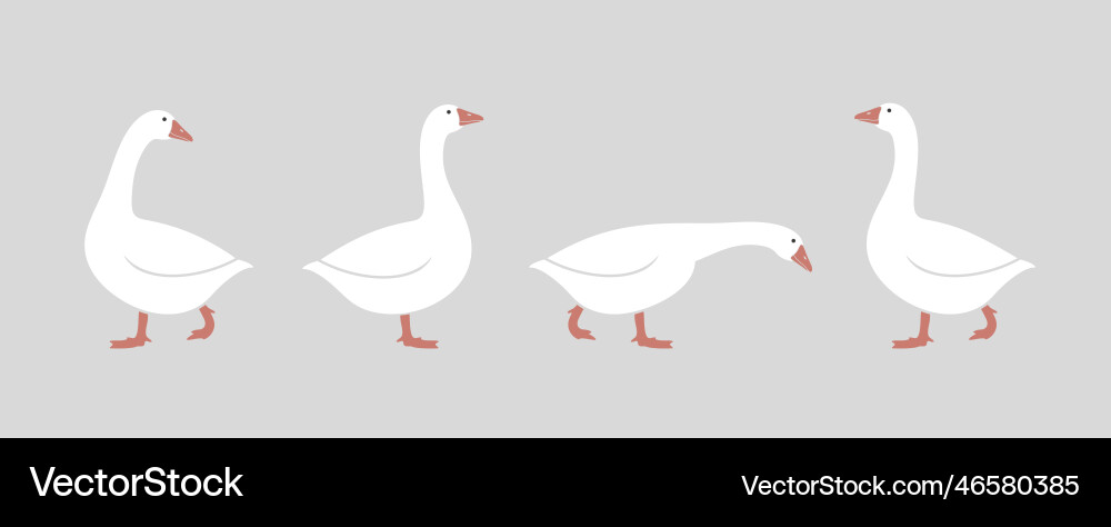 Goose Royalty Free Vector Image - VectorStock