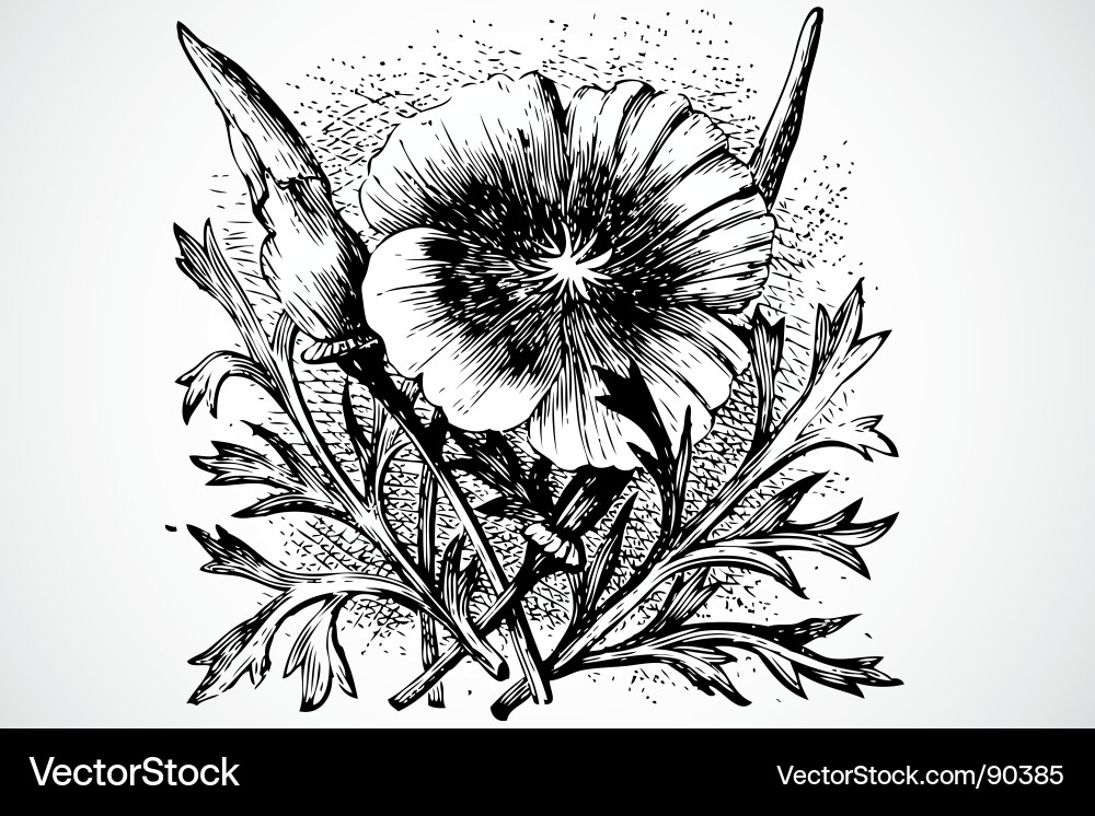 Intricate Floral Scrollwork Royalty Free Vector Image