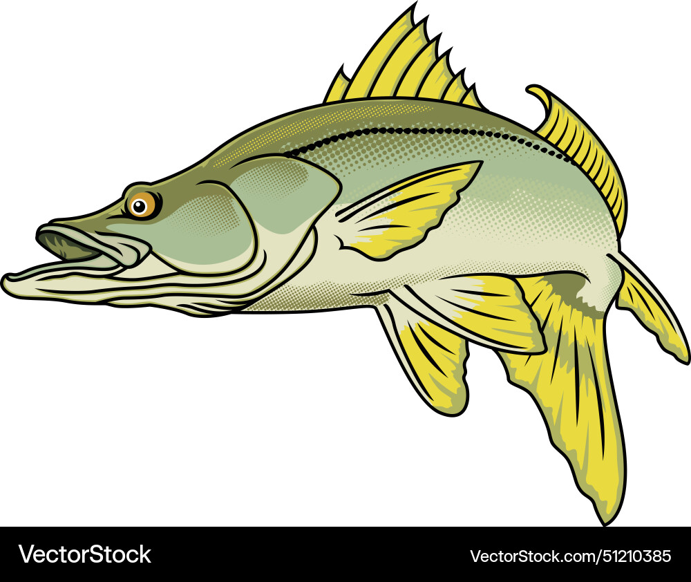 Snook fishing logo image t shi Royalty Free Vector Image